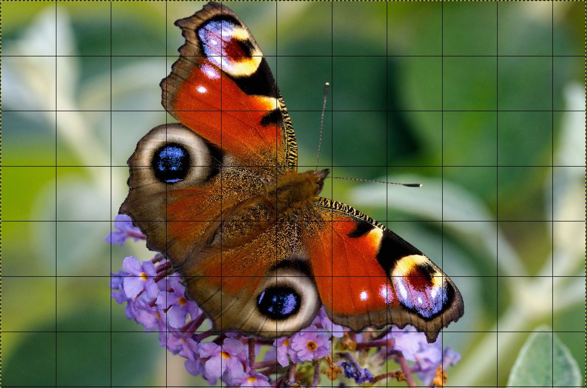 Les 12. Rasteren Met Gimp | Realisme In Portret